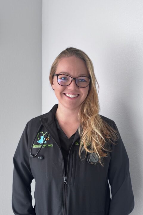 Veterinarian In Santee, CA 92071 | Jamacha Pet Vets